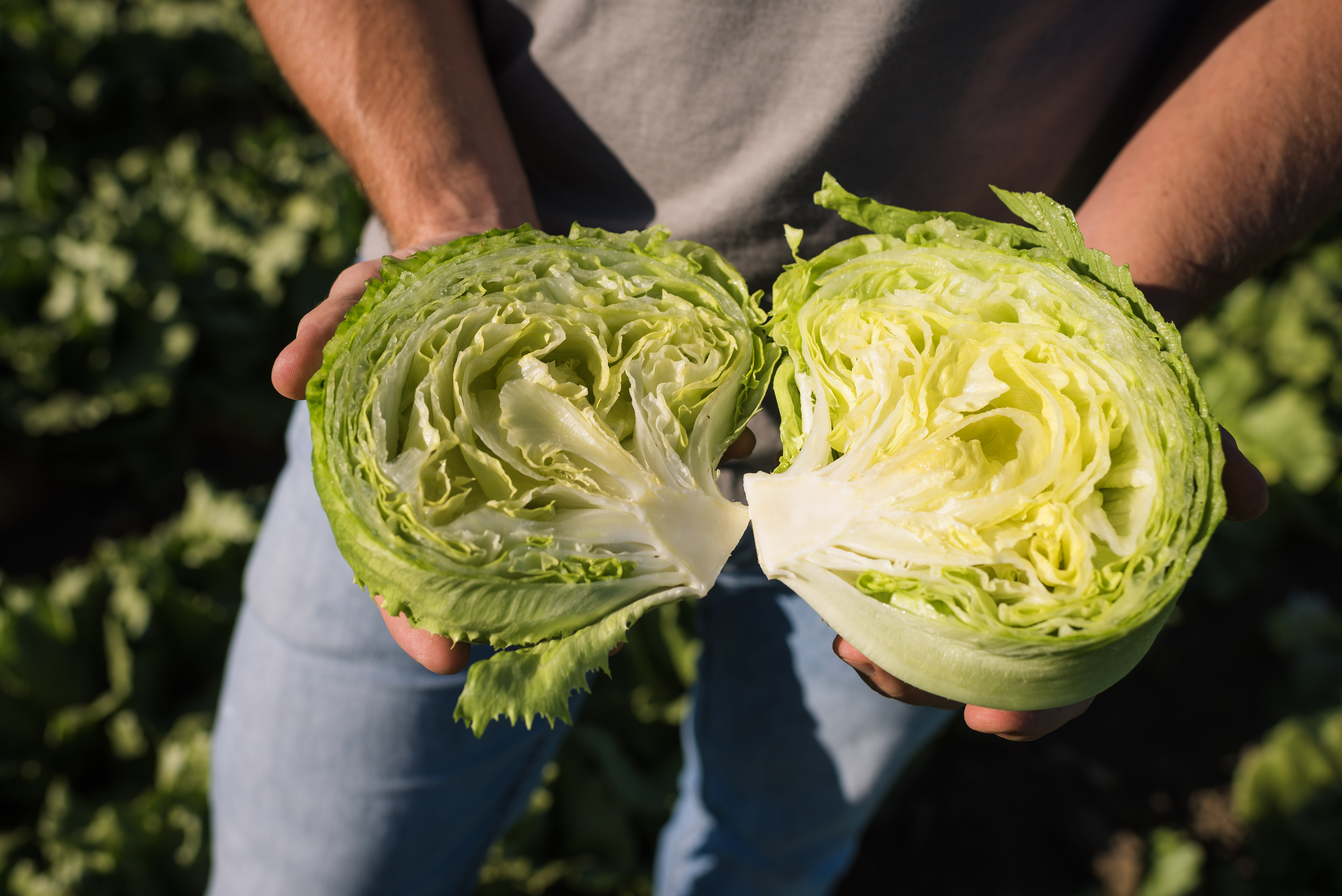 California's Top 10 Agricultural Commodities - CFB