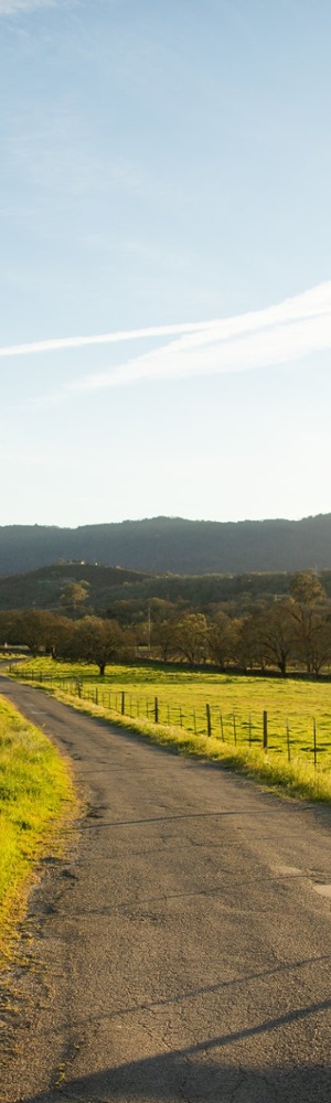 Country Road Iphone Wallpaper